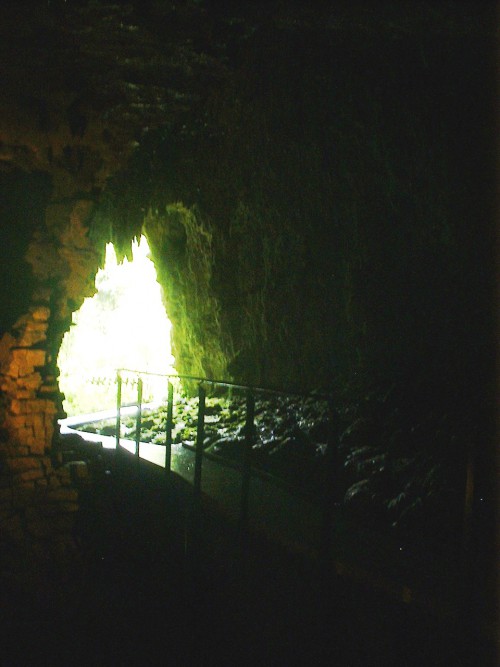 Waitomo Caves - My New Zealand Campervan Trip